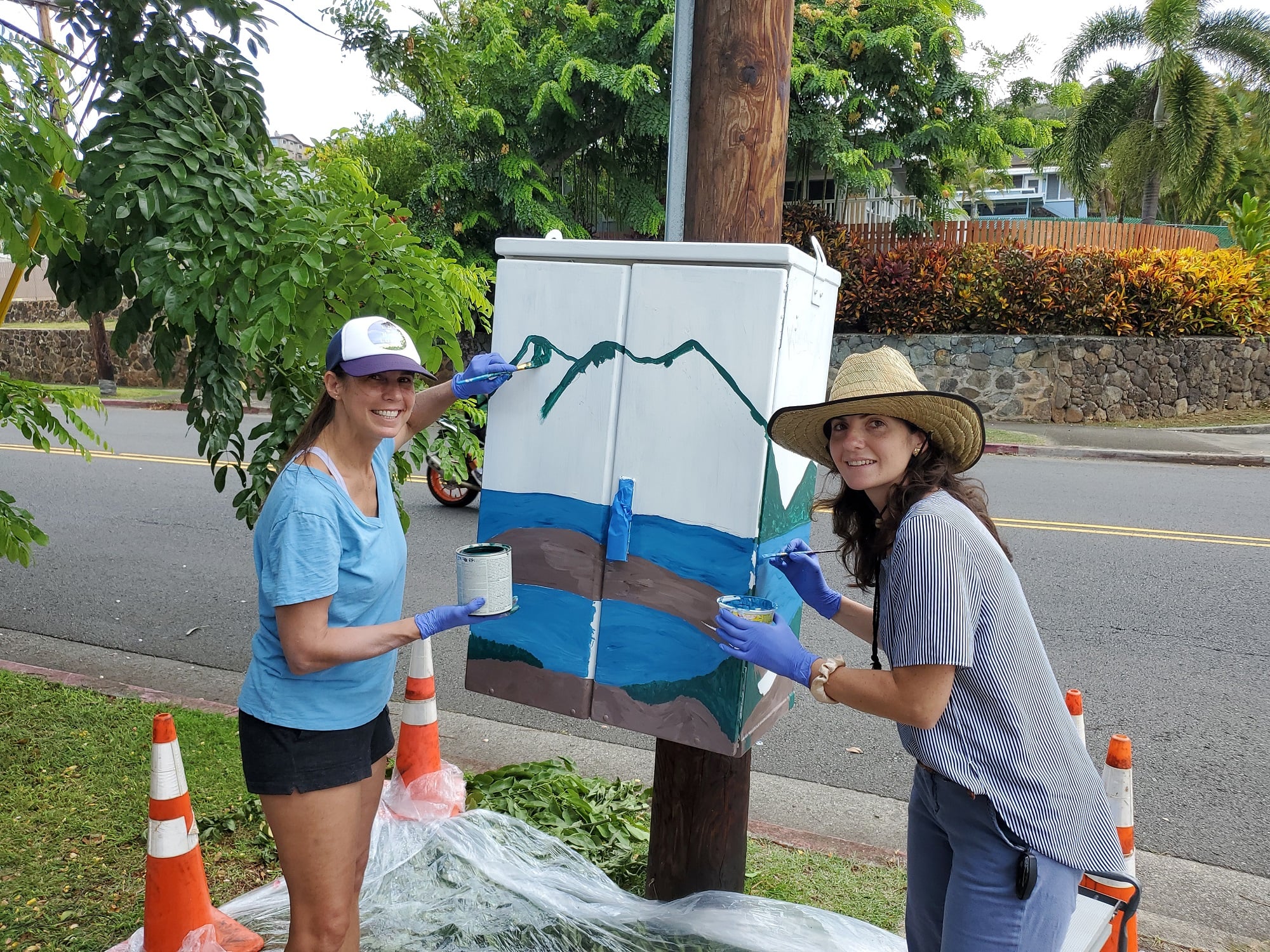 Hawaiian Telcom Fiber Distribution Boxes Get Beautified